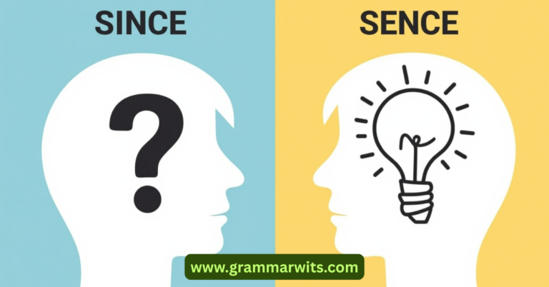 Since vs Sense: Understanding When to Use Each Word