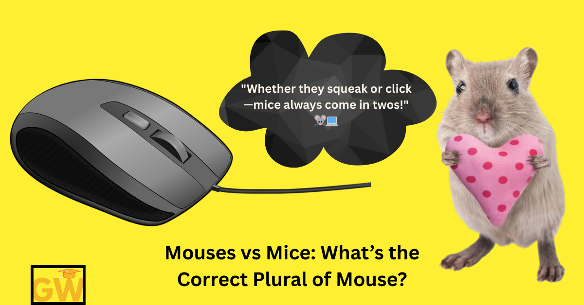Mouses vs Mice Whats the Correct Plural of Mouse