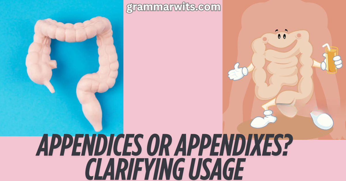 Appendices or Appendixes? Clarifying Usage