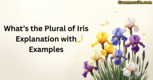 What’s the Plural of Iris Explanation with Examples